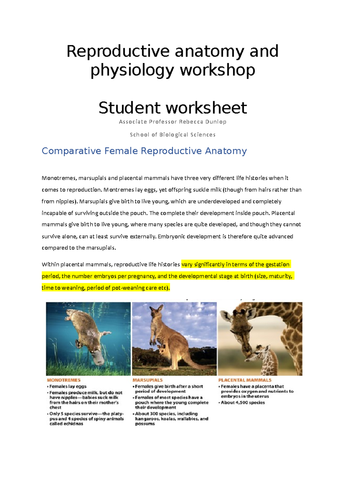 Reproductive anatomy and physiology workshop student notes ...