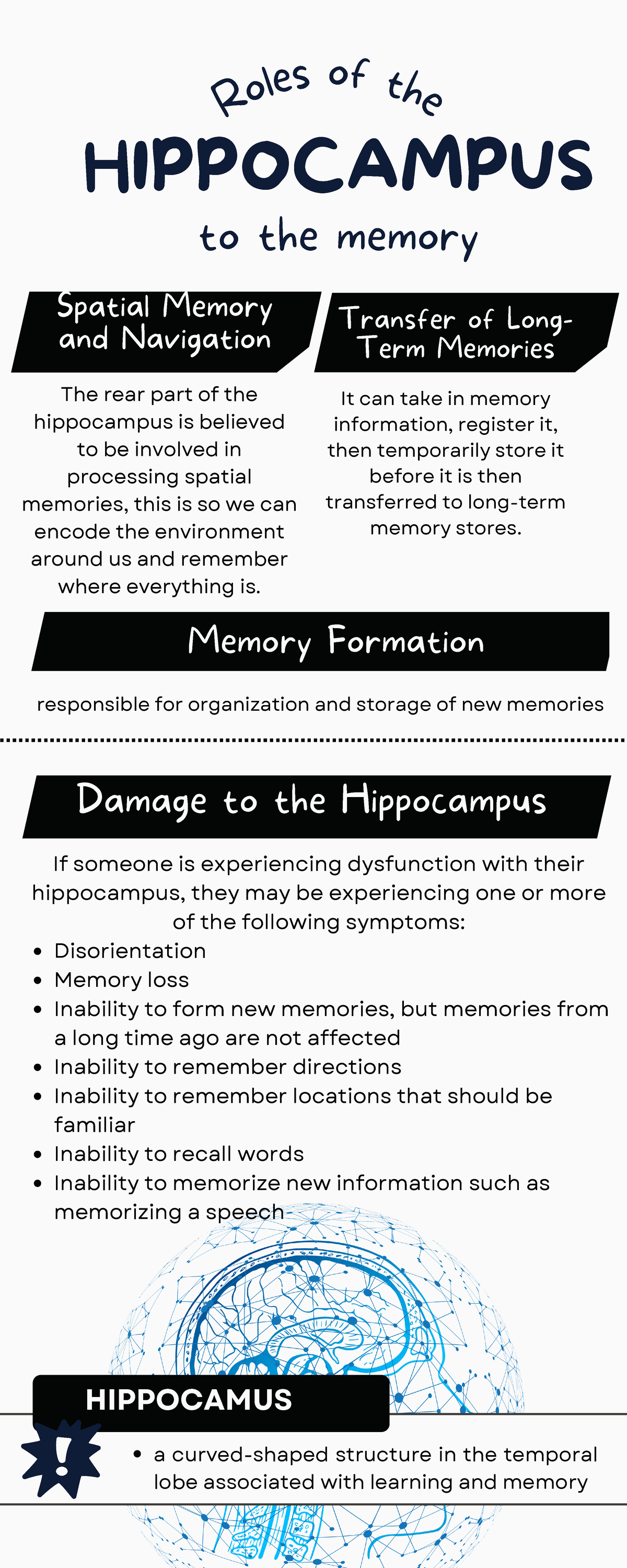2.4 Roles of the Hippocampus - R o le s of t h e Memory Formation ...