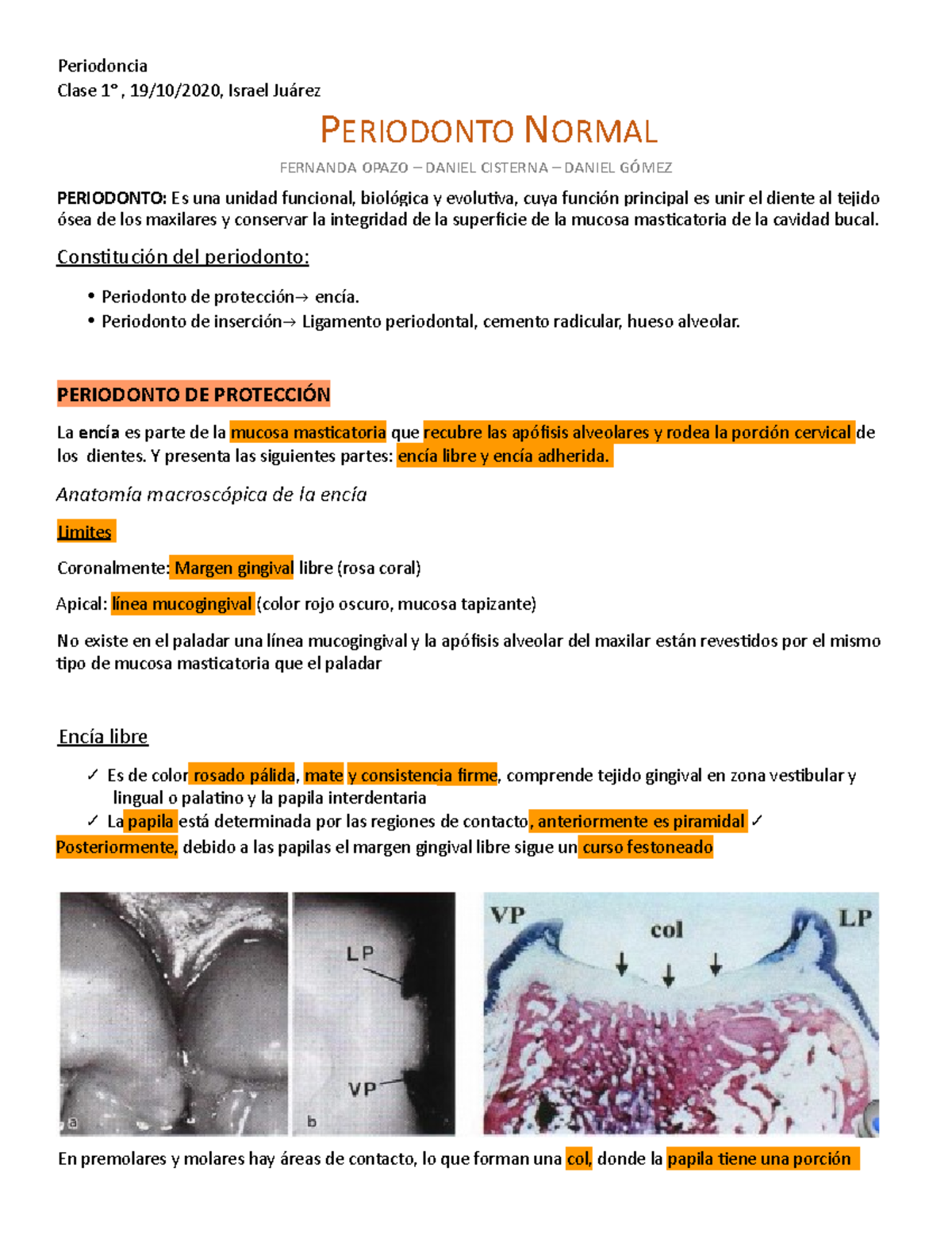 Clase 1 Periodonto normal - Periodoncia y microbiologia 1 - USS - Studocu