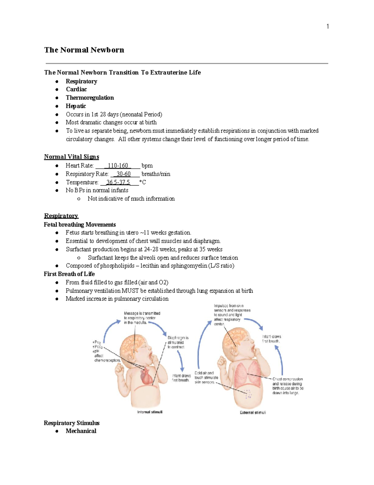 NURS358 Exam 2 notes - The Normal Newborn The Normal Newborn Transition ...