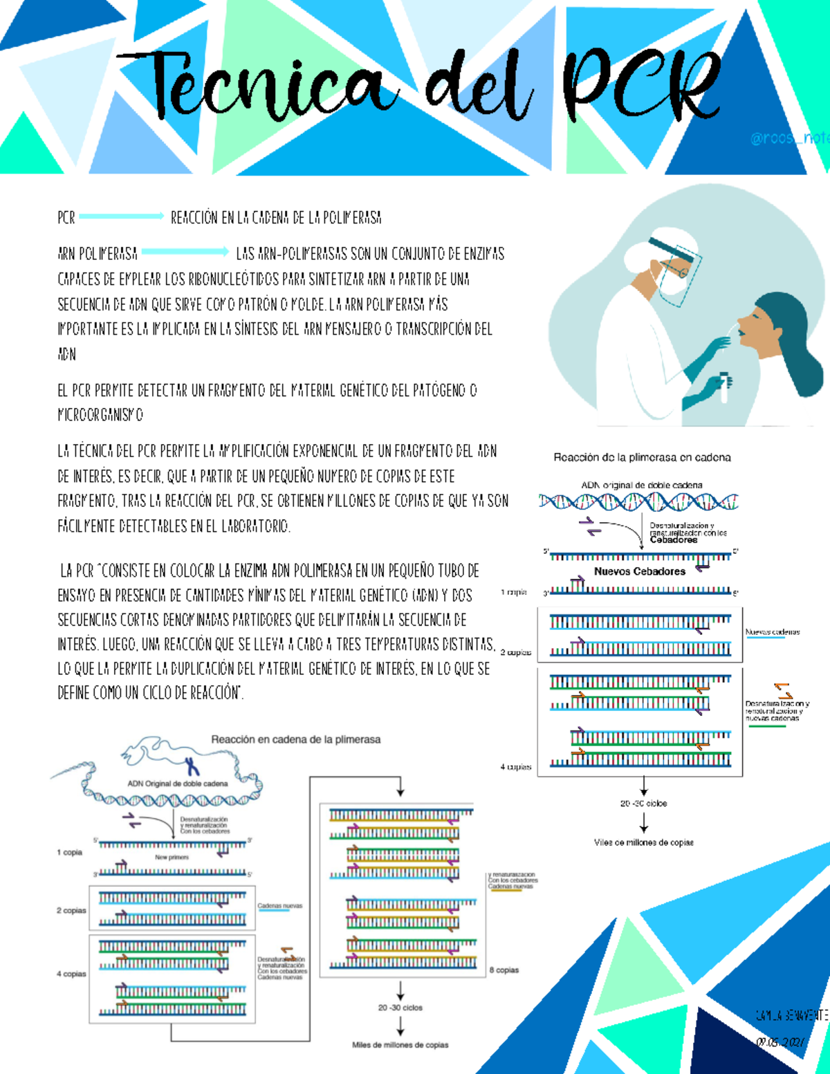 Tecnica del PCR - tarea: investigar sobre la técnica del PCR - Ññññ PCR ...