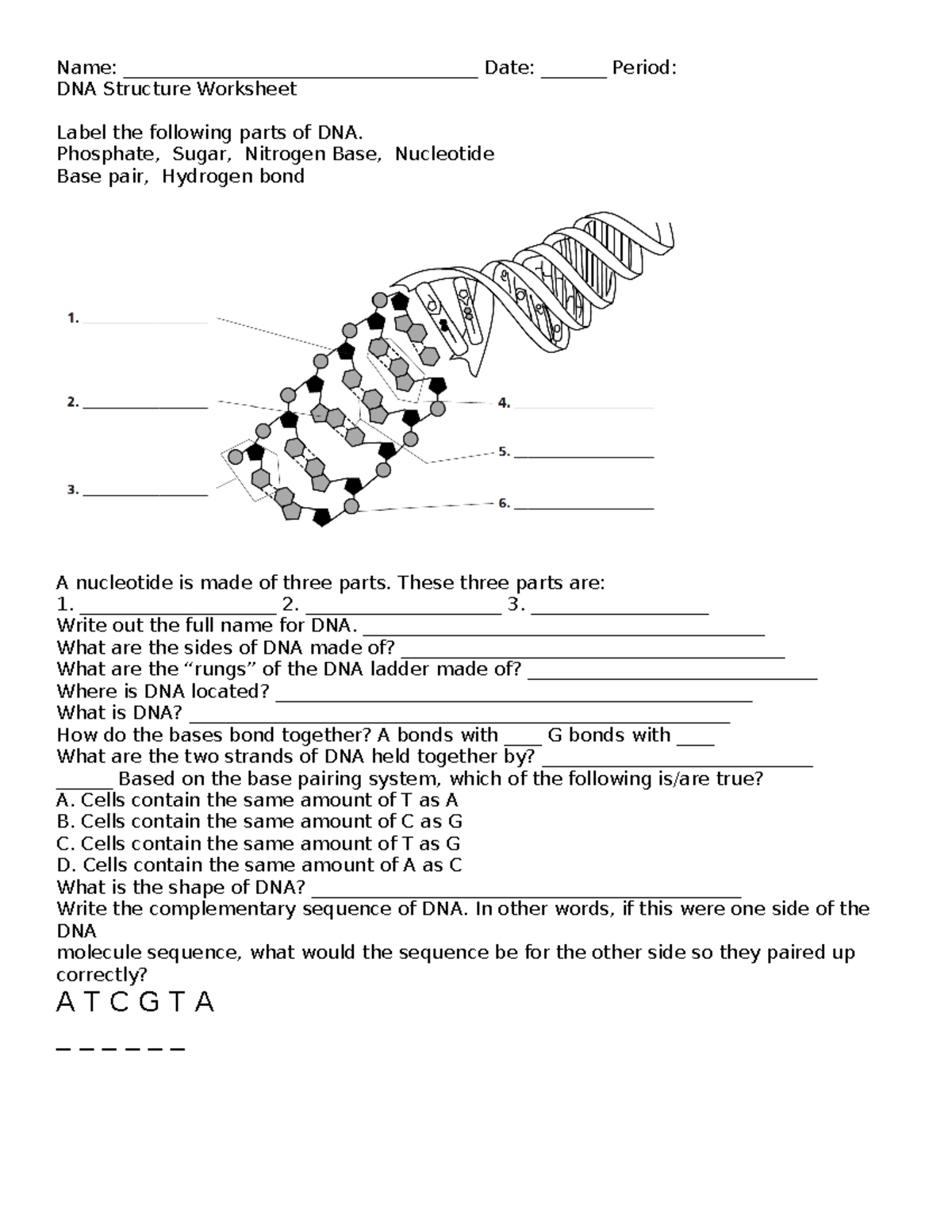 DNA structure worksheet - Name ...