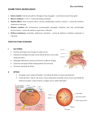 Modelo SOAP - dicas - Material para complementação de exame fisico ...