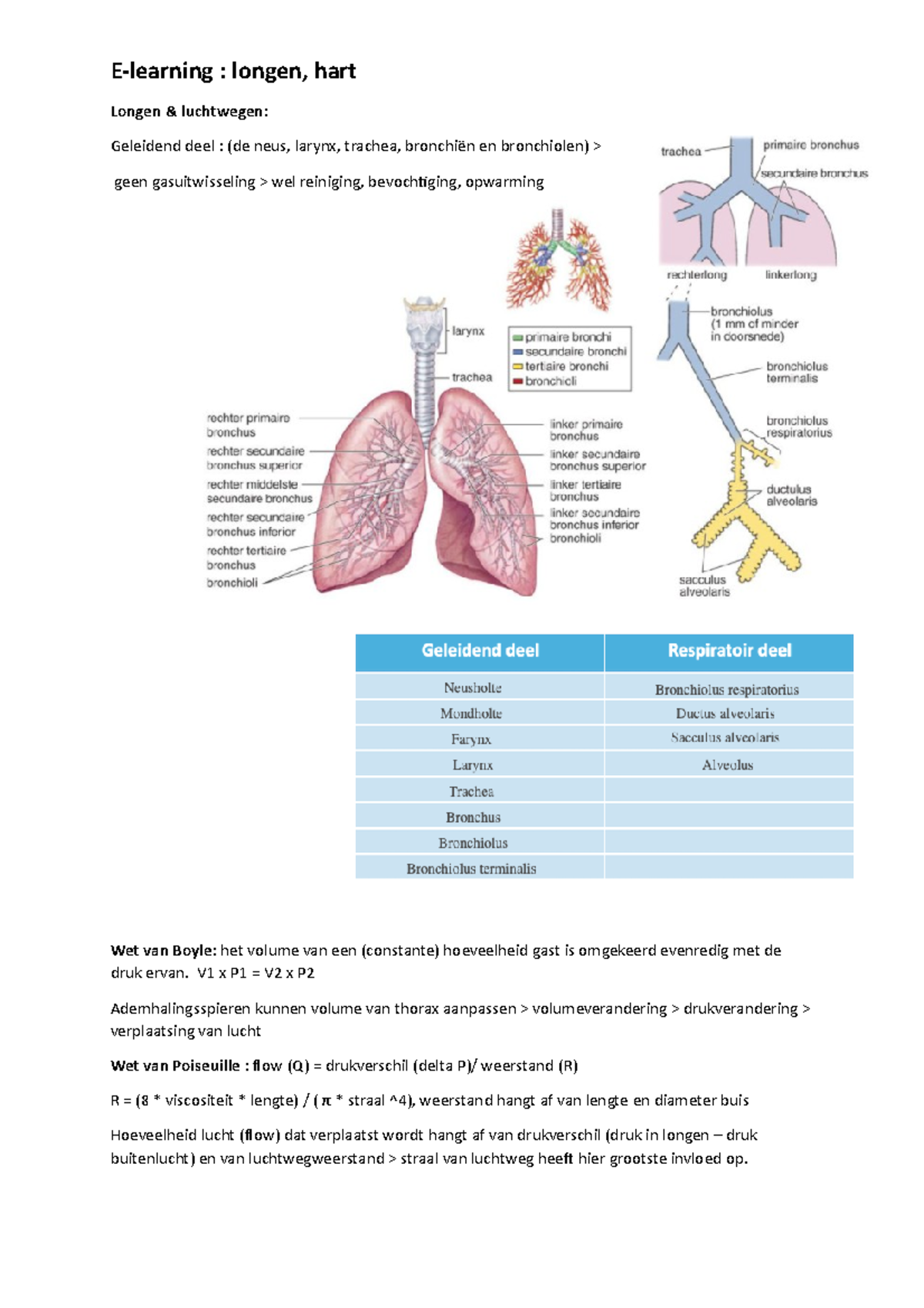 Hart, longen & luchtwegen aantekening e-learning - MGZ- Anatomie ...