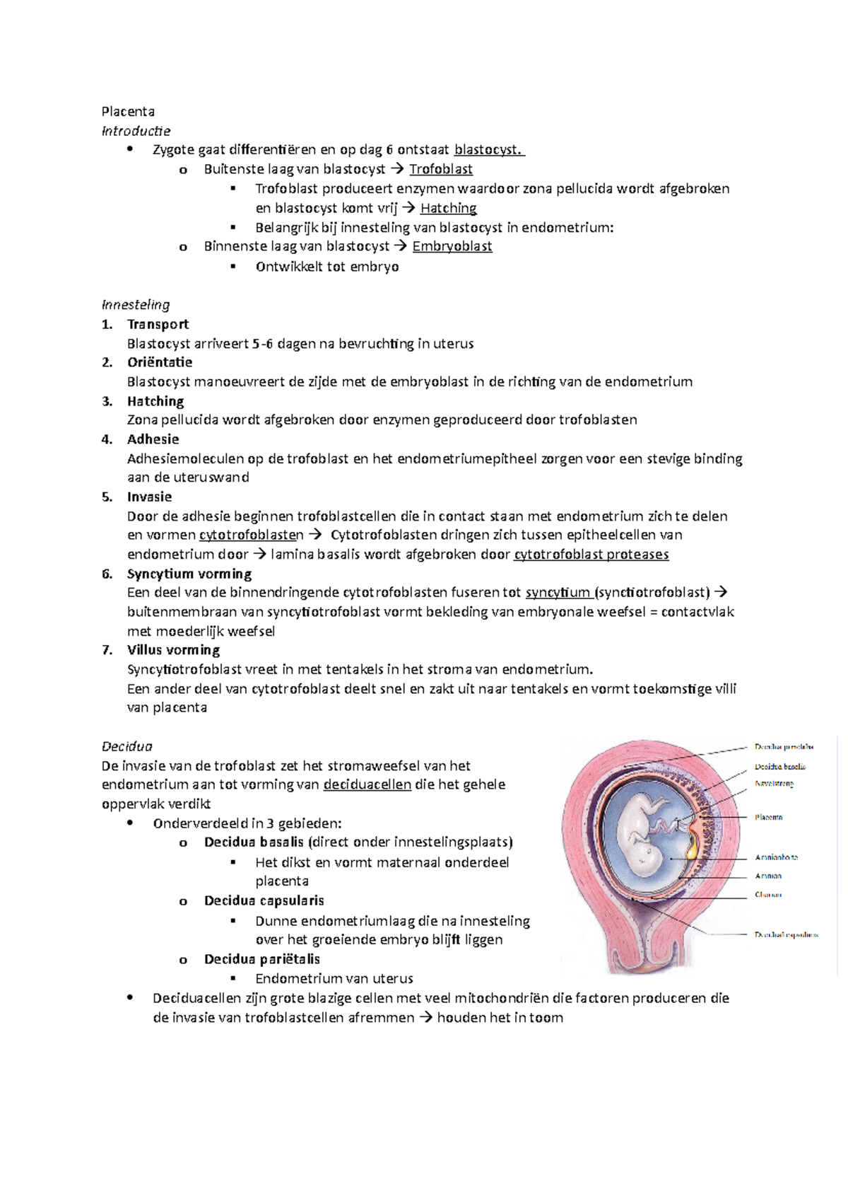 E-learning Placentatie, placenta en ontwikkeling - Placenta Introductie ...