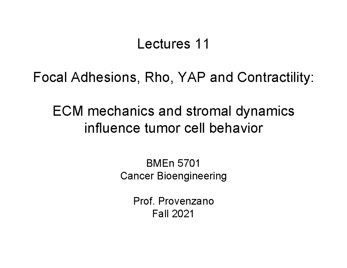 Provenzano BMEn5701 Cancer Bio E 2021 Lecture 11 - Lectures 11 Focal Adhesions, Rho, YAP and ...
