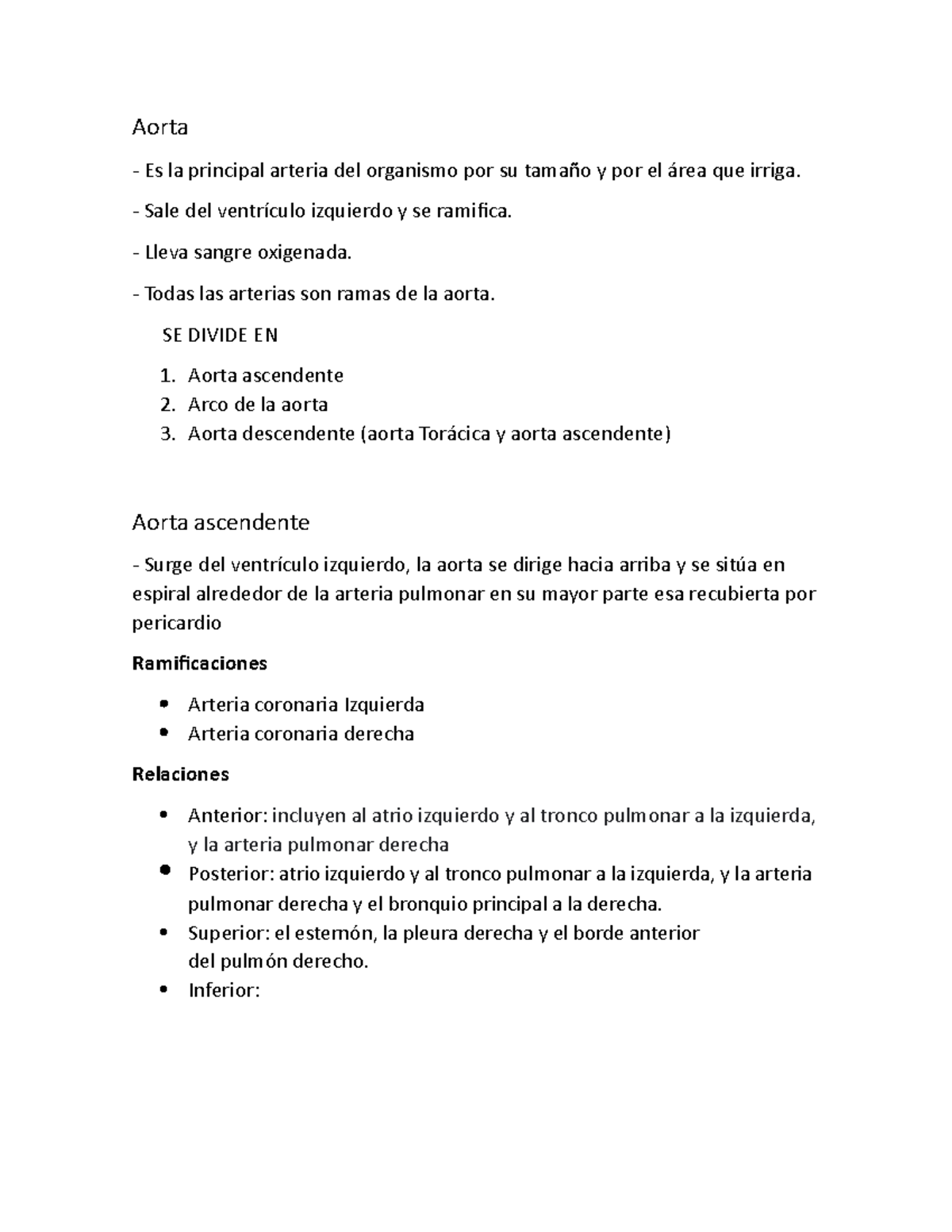 Aorta - Ramificaciones(rouviere) - Aorta - Es la principal arteria del ...