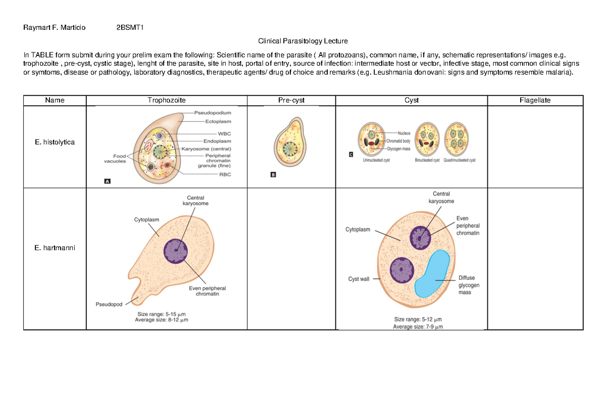 Parasitology Lecture Table - Raymart F. Marticio 2BSMT Clinical ...