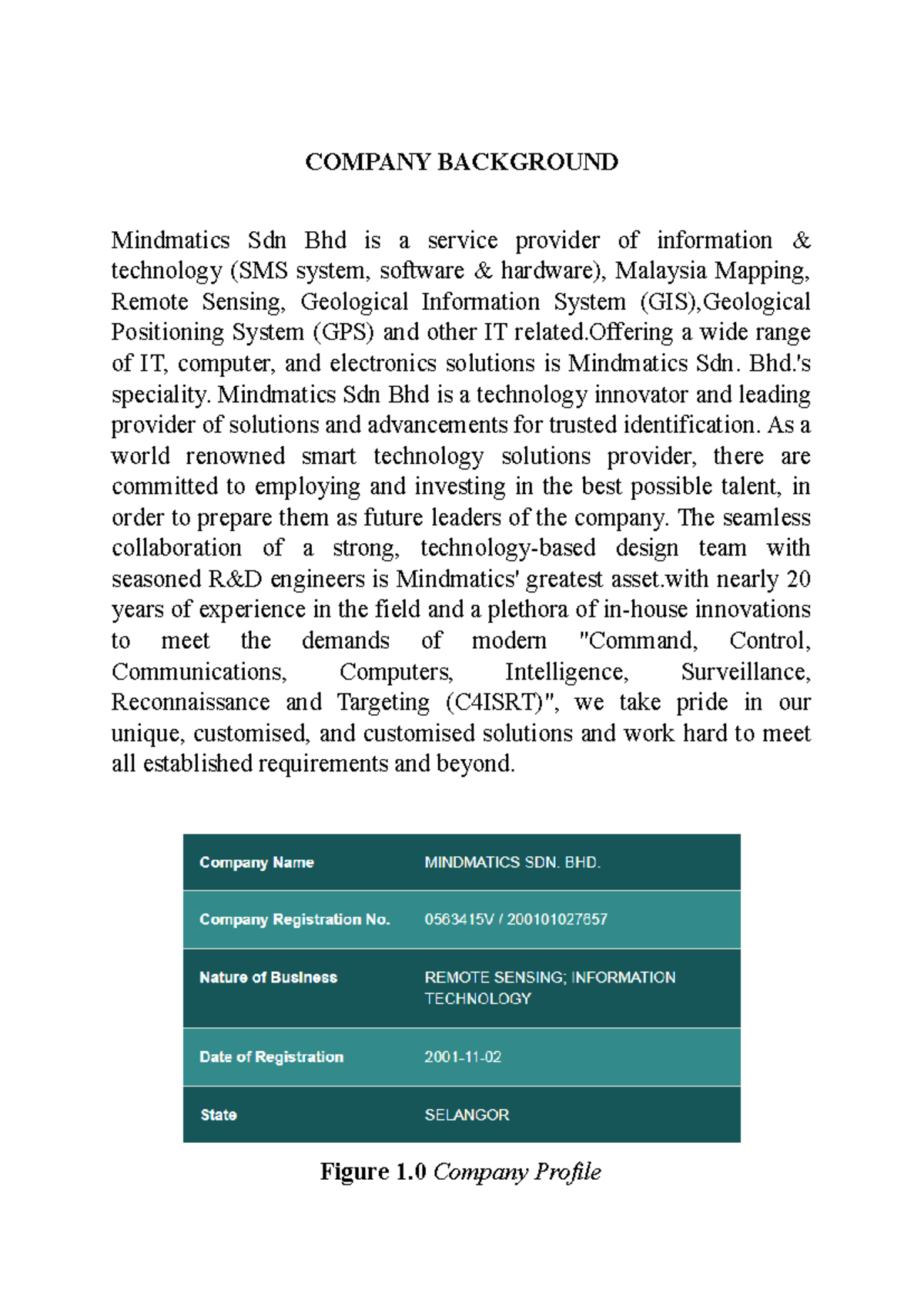 Mindmatics - Summary Microeconomics - COMPANY BACKGROUND Mindmatics Sdn ...