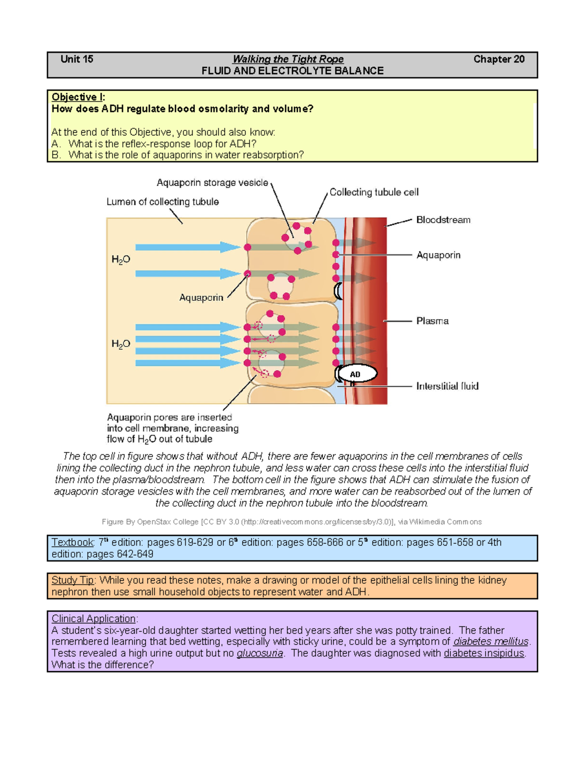 Objective 1 for exam - Unit 15 Walking the Tight Rope Chapter 20 FLUID ...