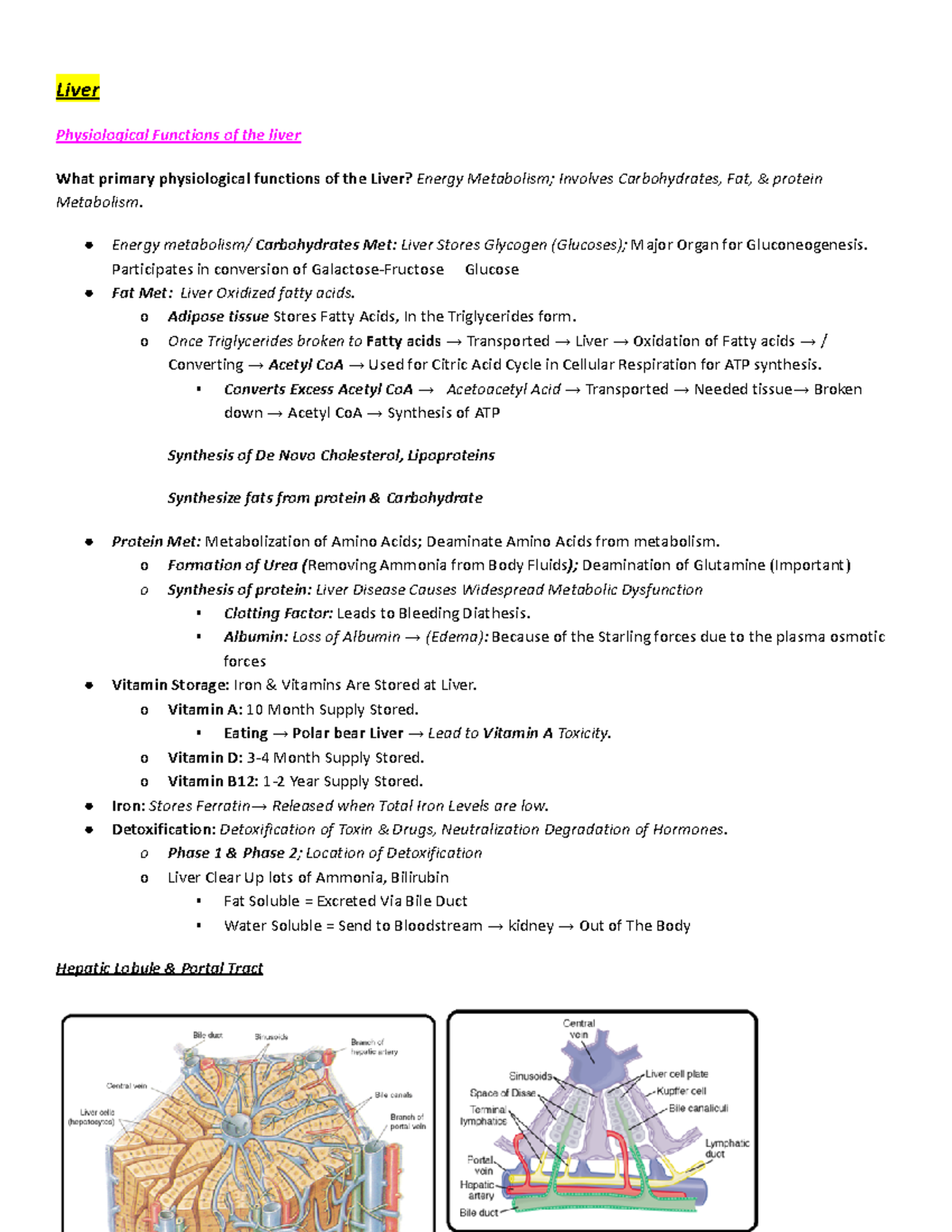 Lecture 10 Liver - Liver Physiological Functions of the liver What ...