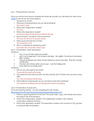 Biochemistry Pattern Matching I - Pattern Matching: Organic Molecules ...