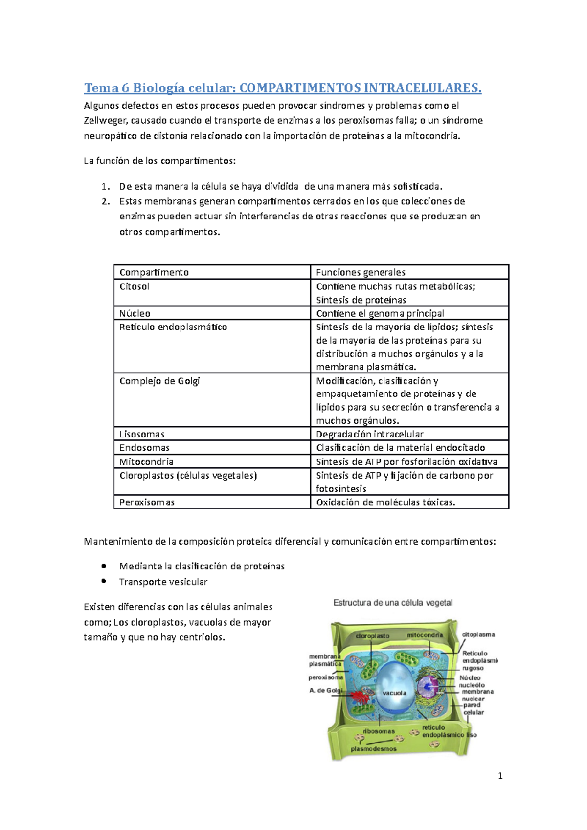 Tema 6 - compartimentos intracelulares - Tema 6 Biología celular ...