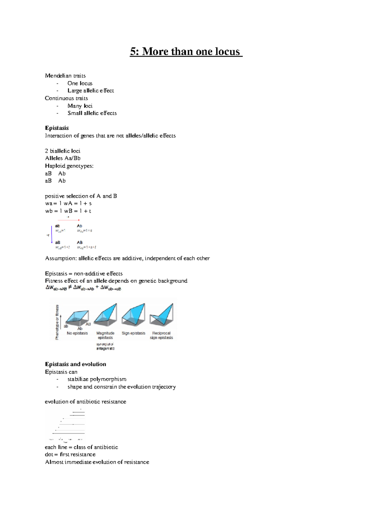 Multiple loci - Lecture notes 5 - 5: More than one locus Mendelian ...