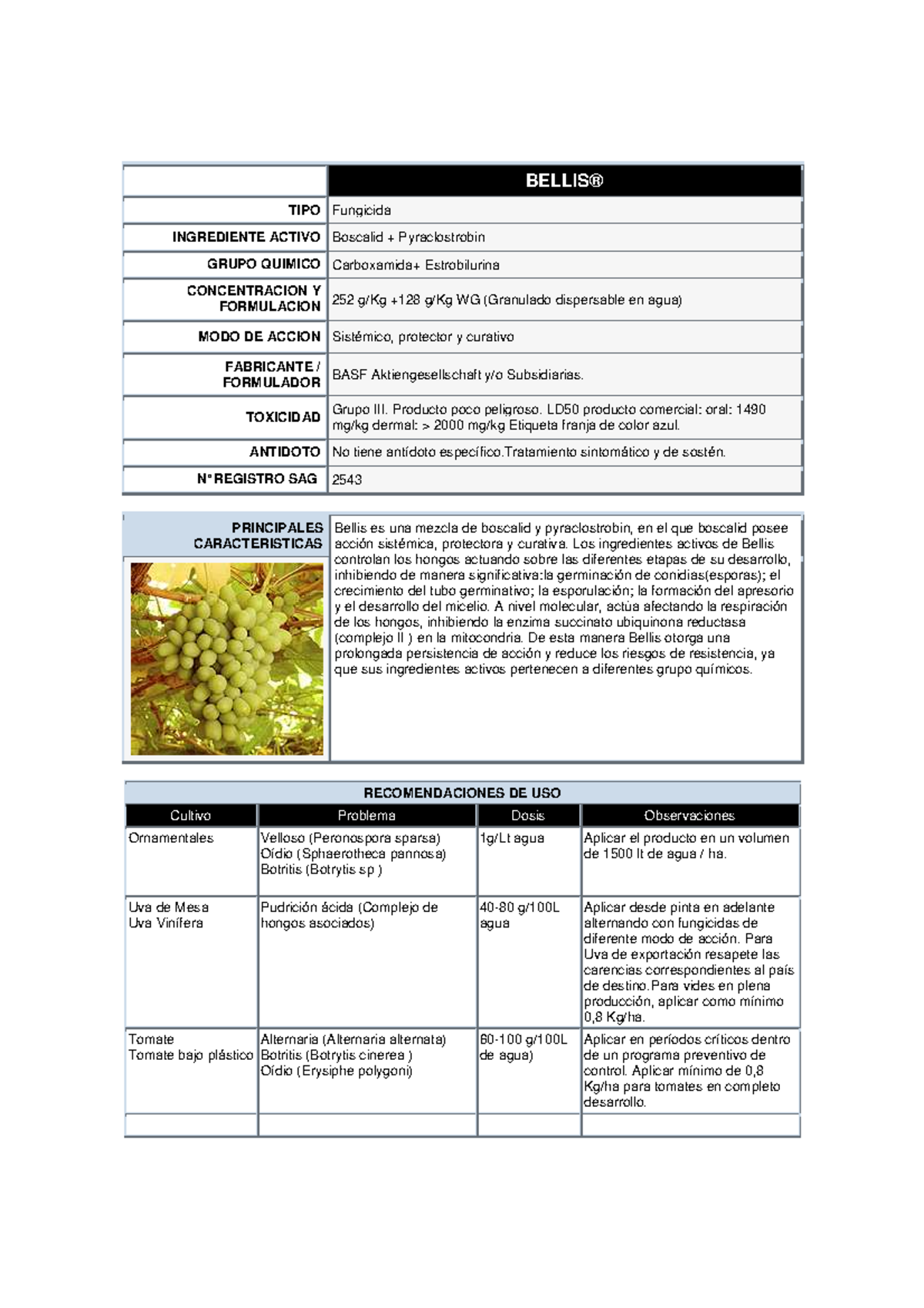 Hoja-Técnica-Bellis - Bellis - BELLIS® TIPO Fungicida INGREDIENTE ...