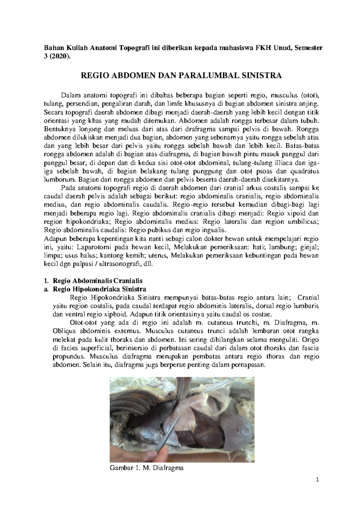 Materi Kuliah Antop Regio Abdomen dan paralumbal sinistra - Bahan ...