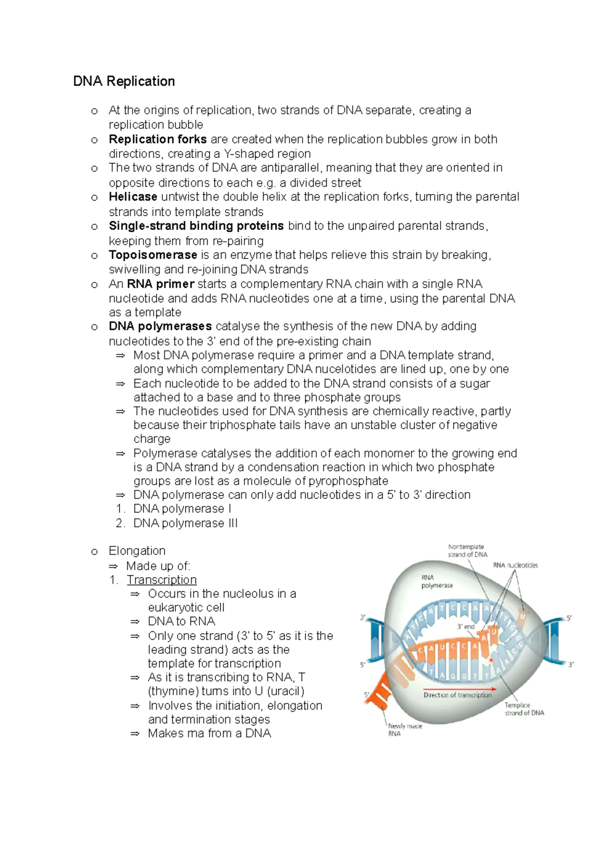 BIOM1050 - Summary of Lecture notes - DNA Replication o At the origins ...