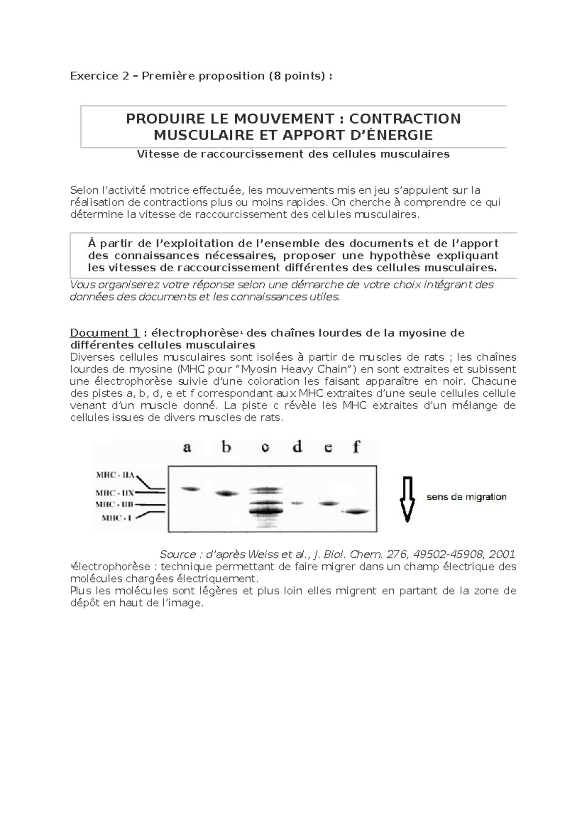 Exercice 2 - Contraction musculaire - Exercice 2 – Première proposition ...