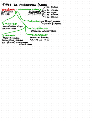 Prática Genital Masculino - ESCROTO TESTÍCULO Sistema genital masculino ...