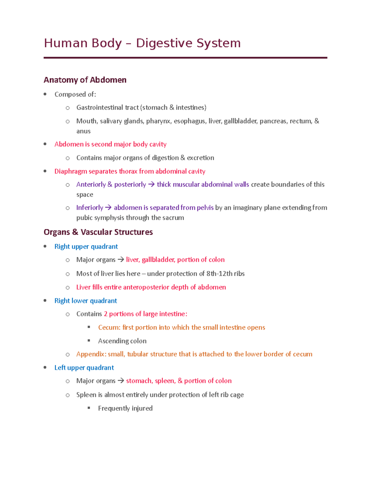 Digestive System - RC Health Services Book Notes - Human Body ...