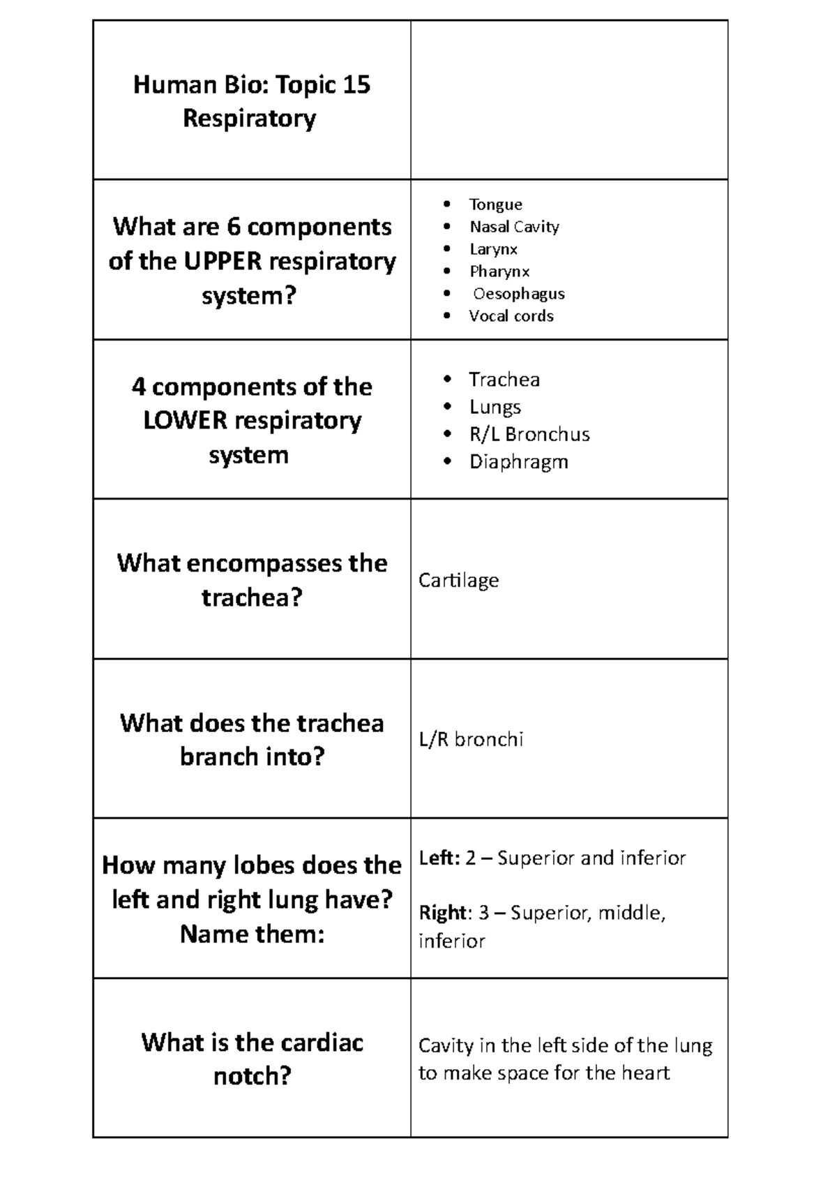 Human Bio week 8 - topic 15 Respiratory Flash Cards - Human Bio: Topic ...
