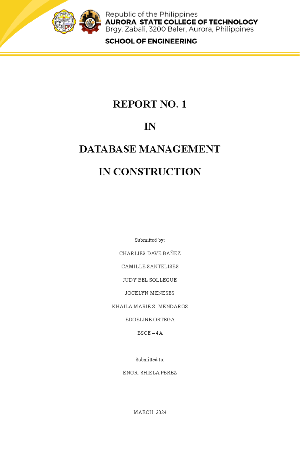 Database Output 1 - A use of excel like software - REPORT NO. 1 IN ...