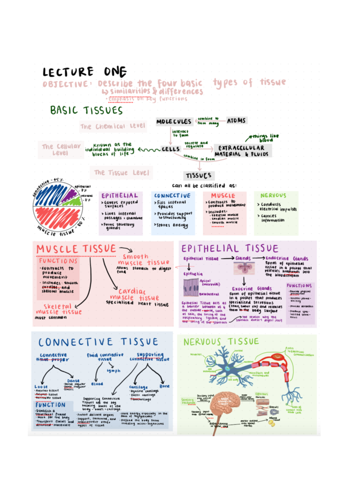 Hubs191 lecture 1 summary notes - LECTURE ONE OBJECTIVE Describe the ...