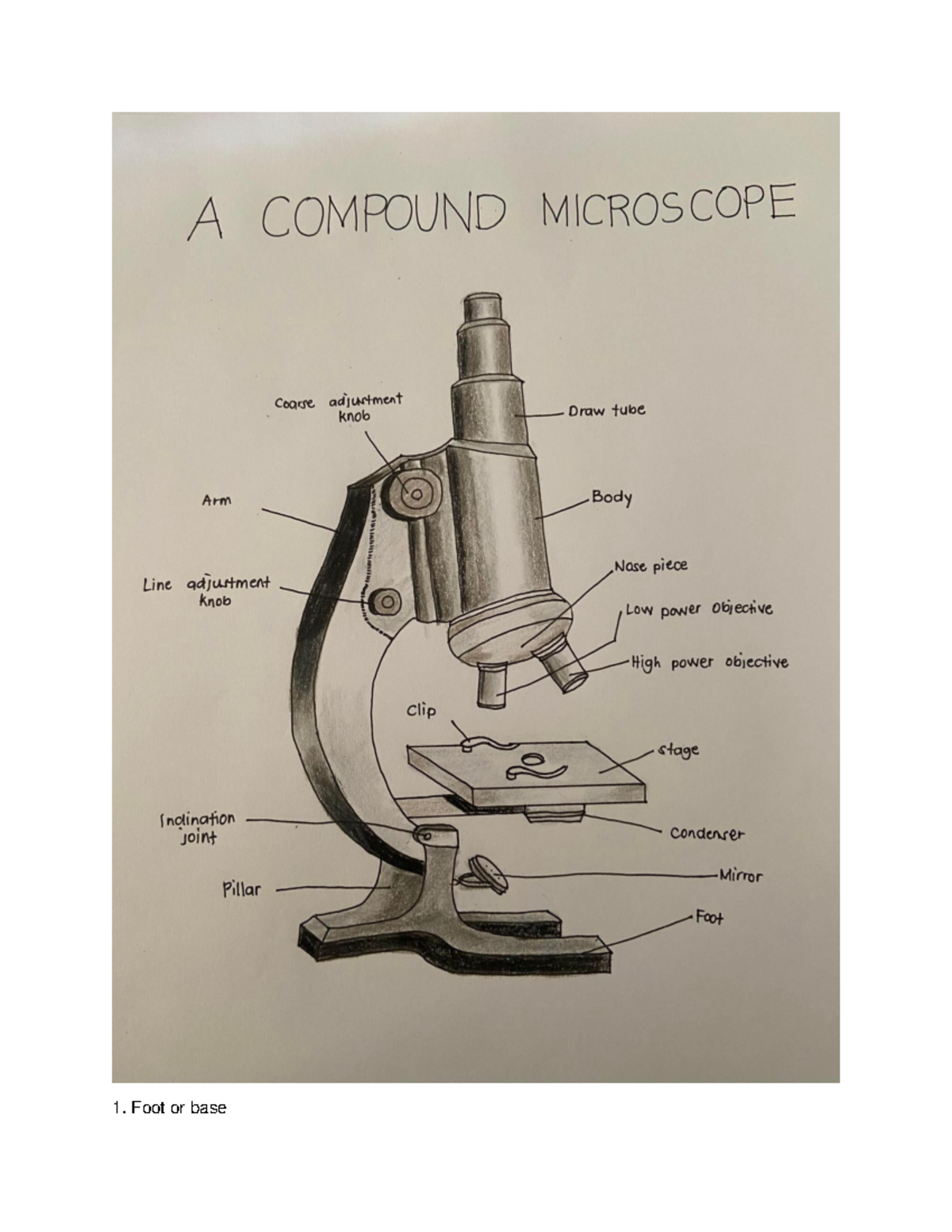 Clinicalchem 1 - microscope - Foot or base It is a U-shaped structure ...