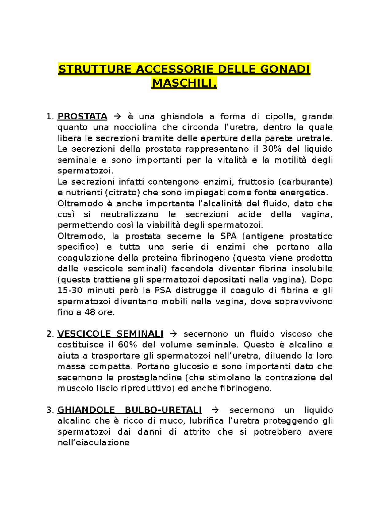 Strutture Accessorie Delle Gonadi Maschili - STRUTTURE ACCESSORIE DELLE ...