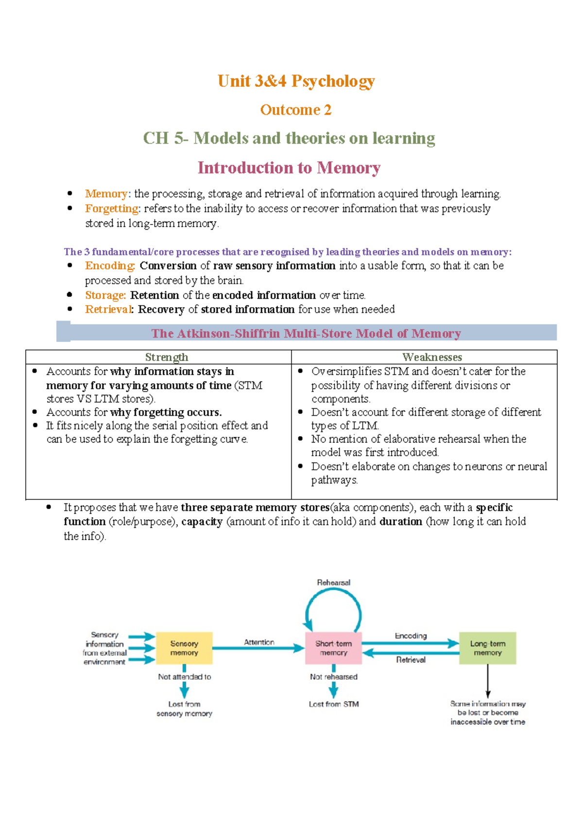 Pscyhology - Ch 5 Memory and Forgetting - Unit 3&4 Psychology Outcome 2 ...