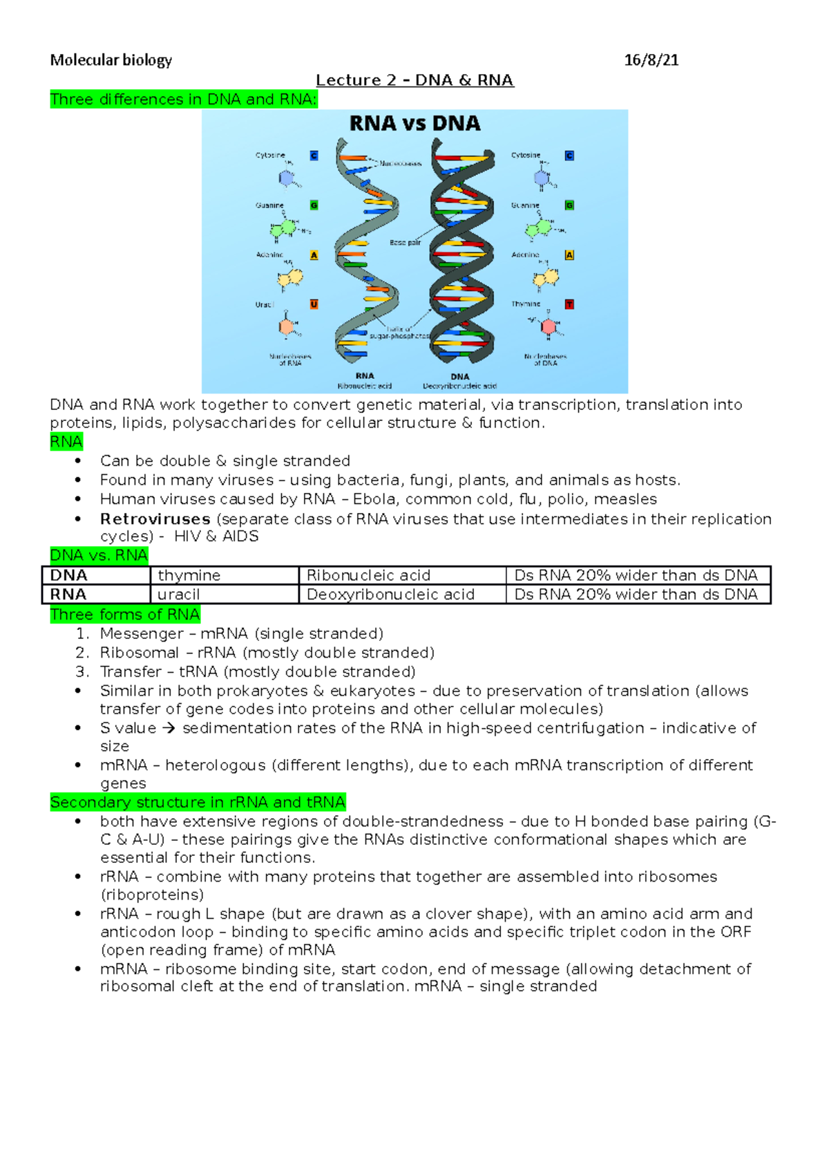 Lecture 2 - DNA and RNA - Lecture 2 – DNA & RNA Three differences in ...