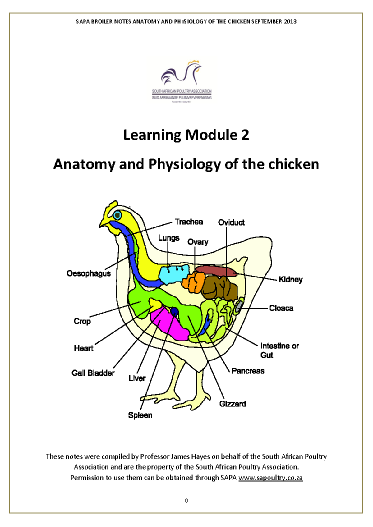 Anatomy Physiology Of Chicken - Learning Module 2 Anatomy and ...