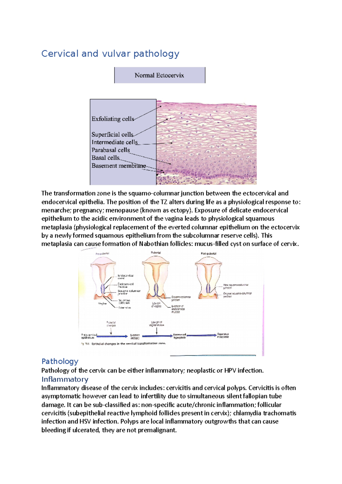 Cervical screening and vulval pathology - Cervical and vulvar pathology ...