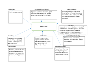 Map 4 - Concept Map - Assessments Pt. Education/Interventions Labs ...
