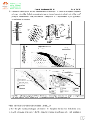 Cours STU 05 2020 - LES GISEMENTS MÉTALLIFÈRES géologie et principes de ...