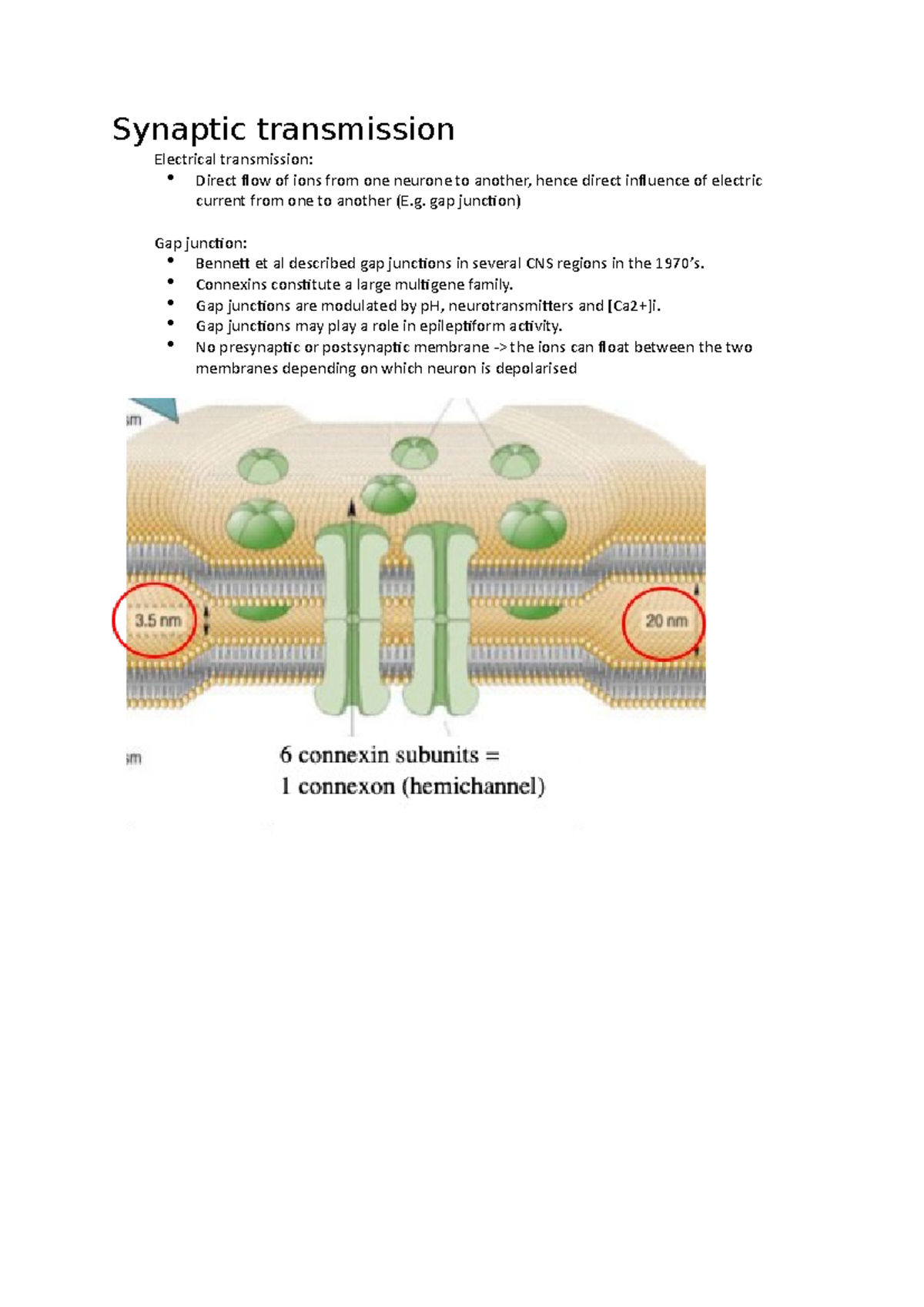 Synaptic transmission - Synaptic transmission Electrical transmission ...