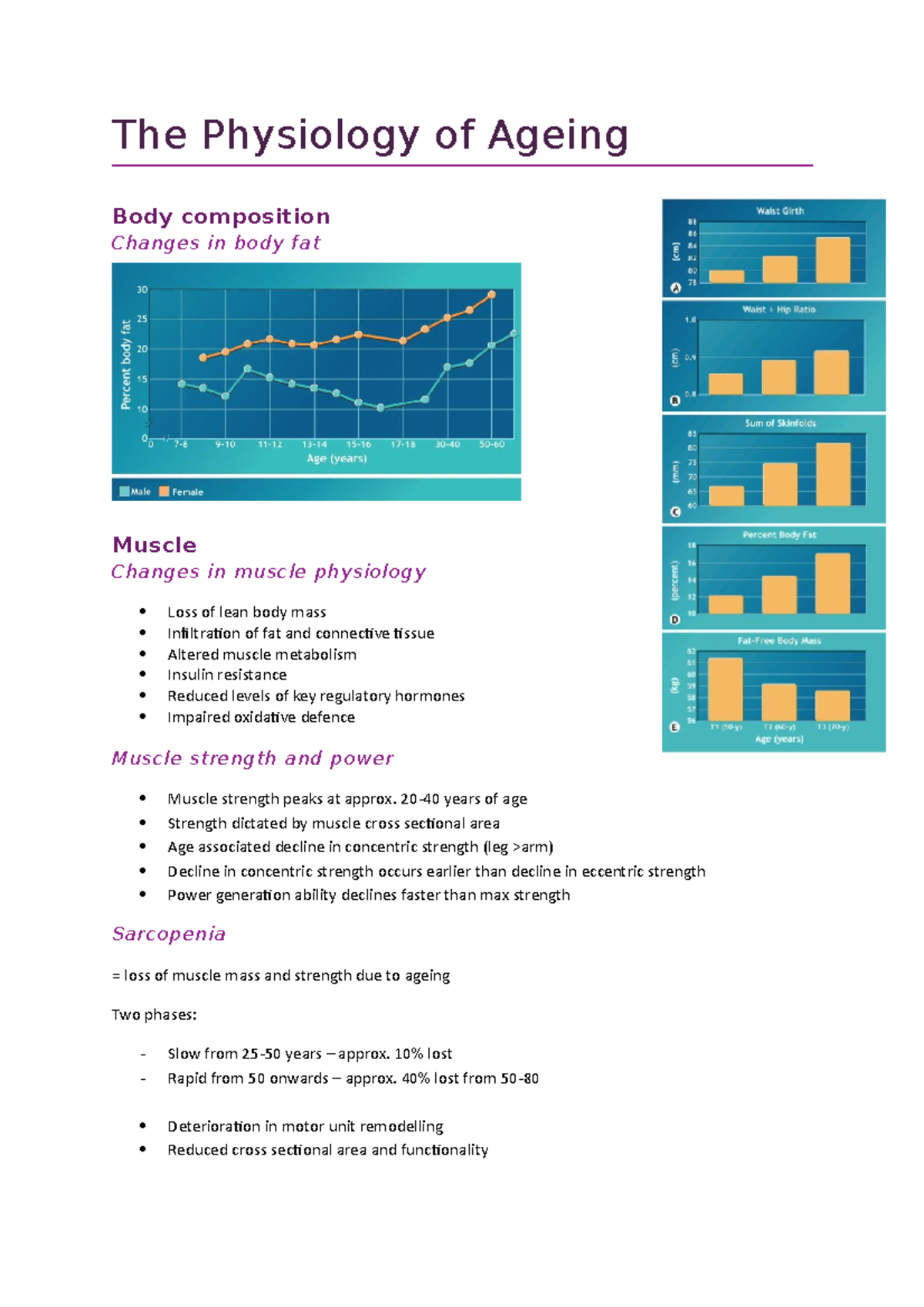 Physiology of Ageing Notes - The Physiology of Ageing Body composition ...
