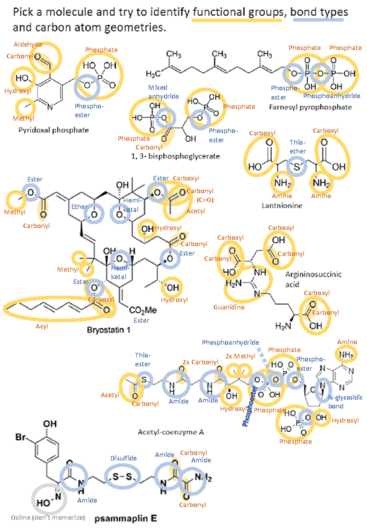 Biomolecule structure practice answers - Aldehyde Phosphate Phospho ...