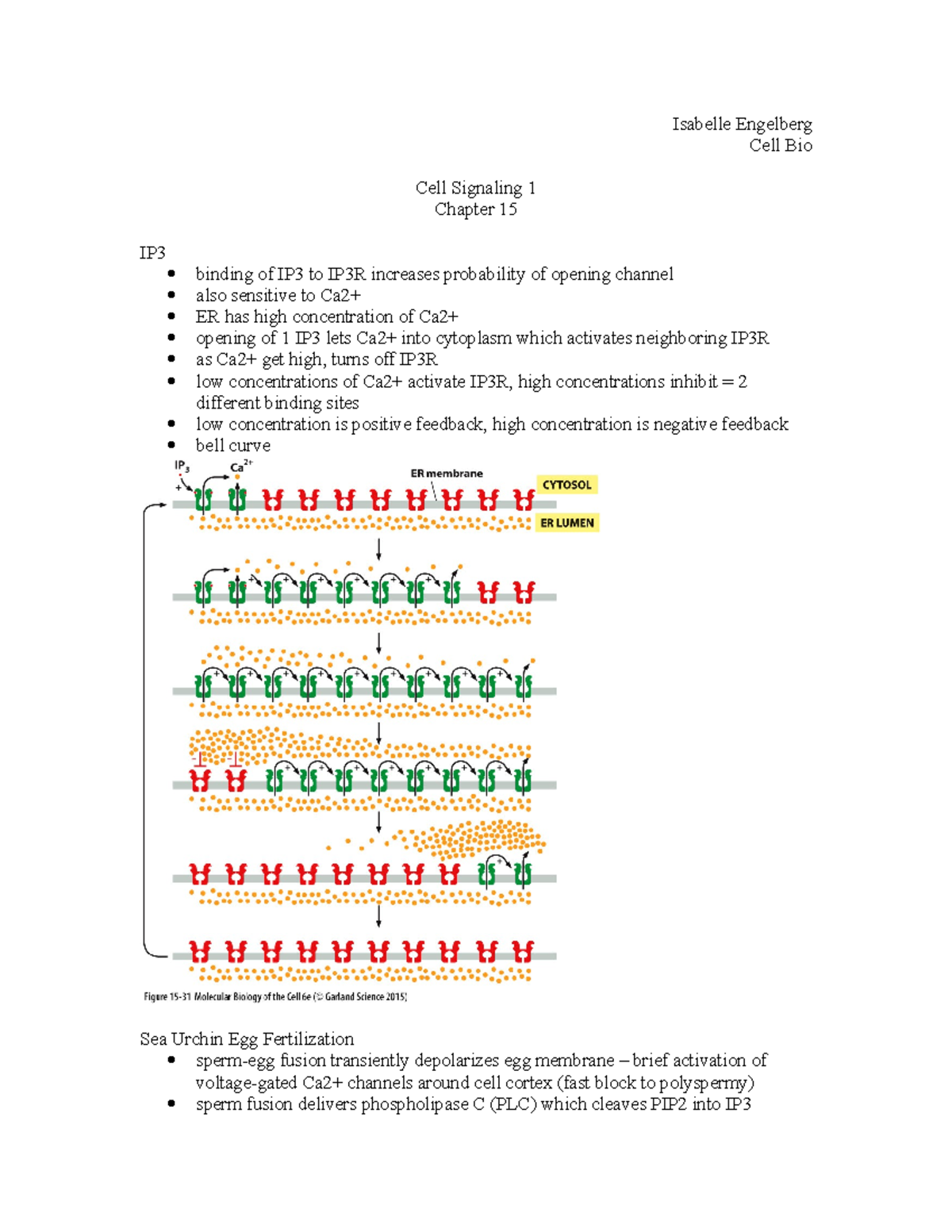 Cell Signaling 1 - Lecture notes 21 - AS.020.306. - JHU - Studocu