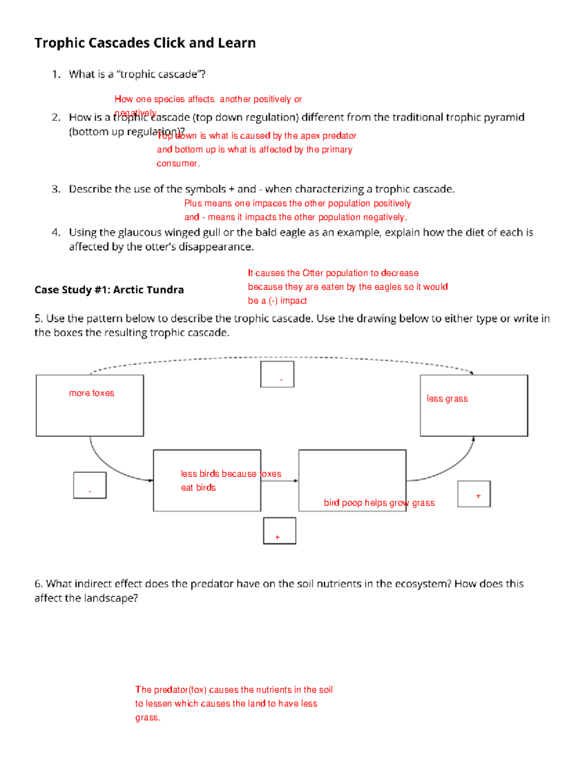 Trophic Cascades Trophic Cascade Click And Learn Submission