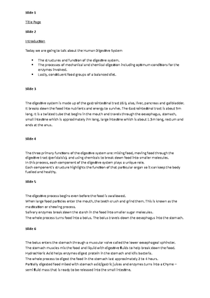 Stonebridge College - StuDocu