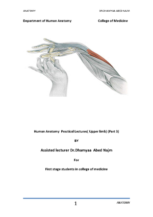 Human Anatomy Practical Lectures( Upper limb) (Part 2) - Department of ...