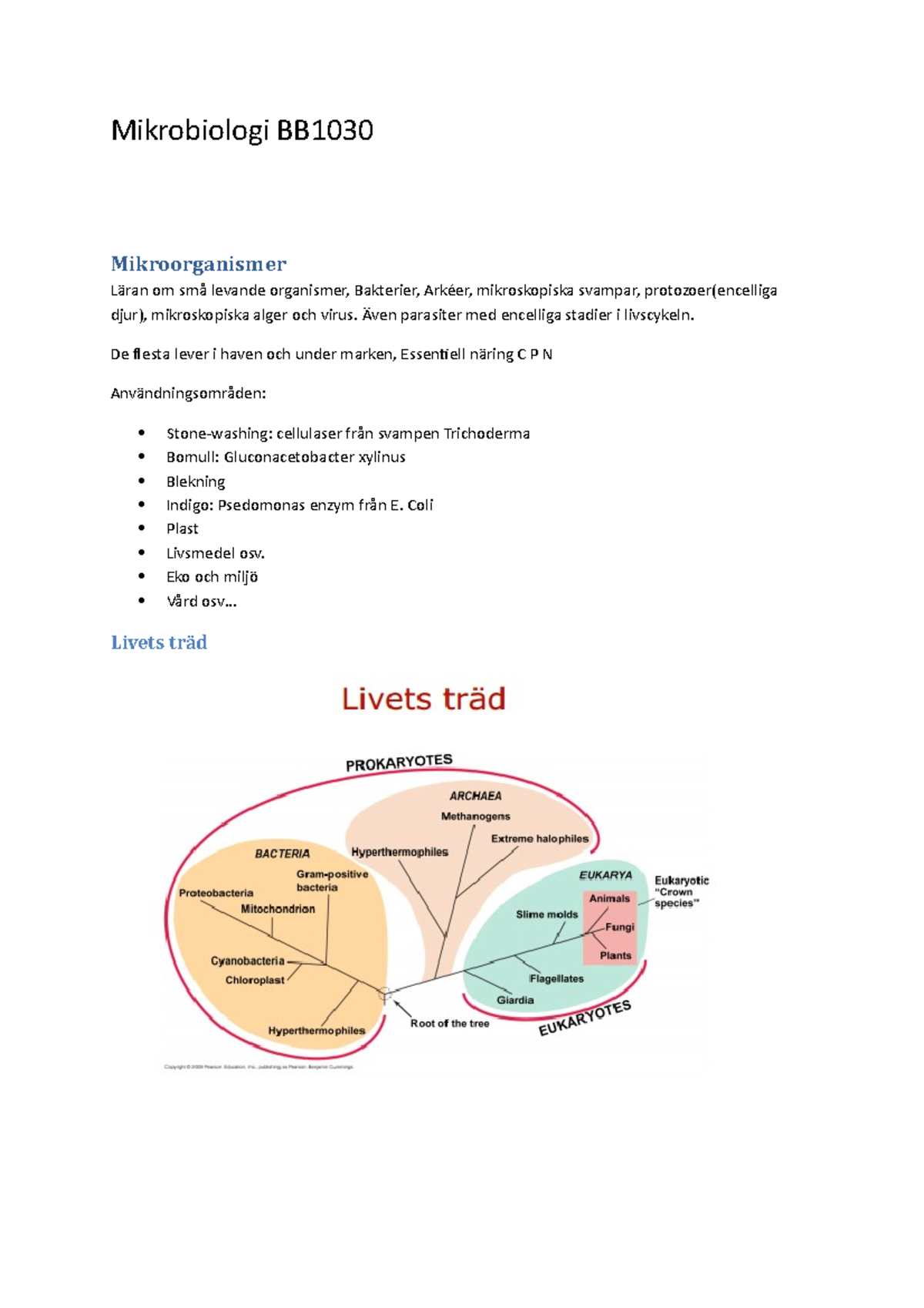 The epic summary of microbiology 2 - Mikrobiologi BB Mikroorganismer ...