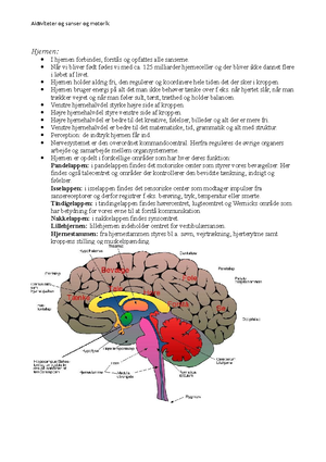 Flow og NUZO - Flow og NUZO. - Zoey Herlet Halberg Flow og NUZO 14/1 ...