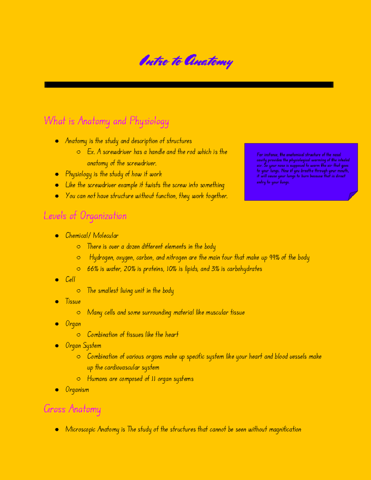 Intro to Anatomy - Chapter 1 - Intro to Anatomy What is Anatomy and ...