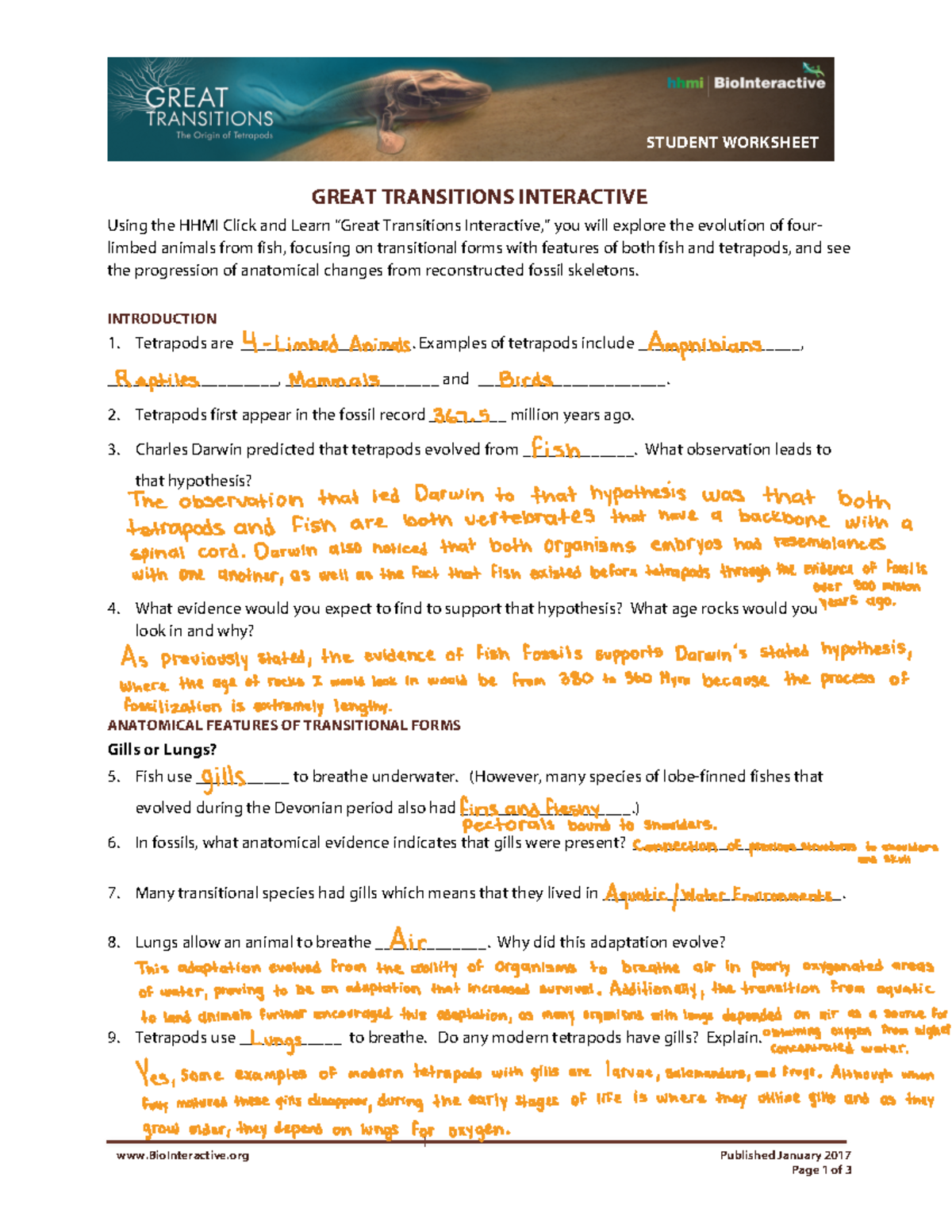 Assignment 2: Great Transitions - ! ! | BioInteractive Published ...