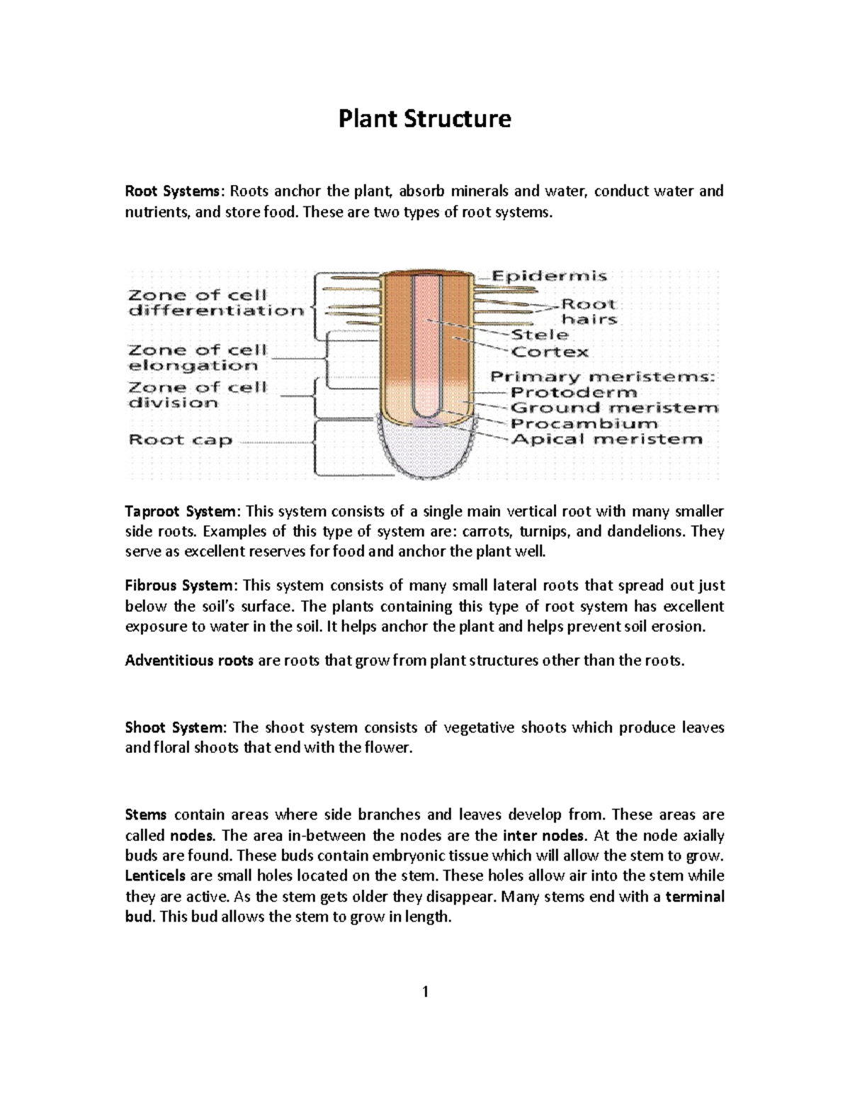 Plant structure,reproduction, growth germination - Plant Structure Root ...