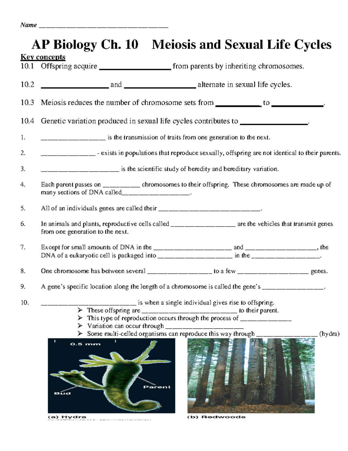 Ch. 10 Meiosis - Big part of biology and its a long and confusing ...