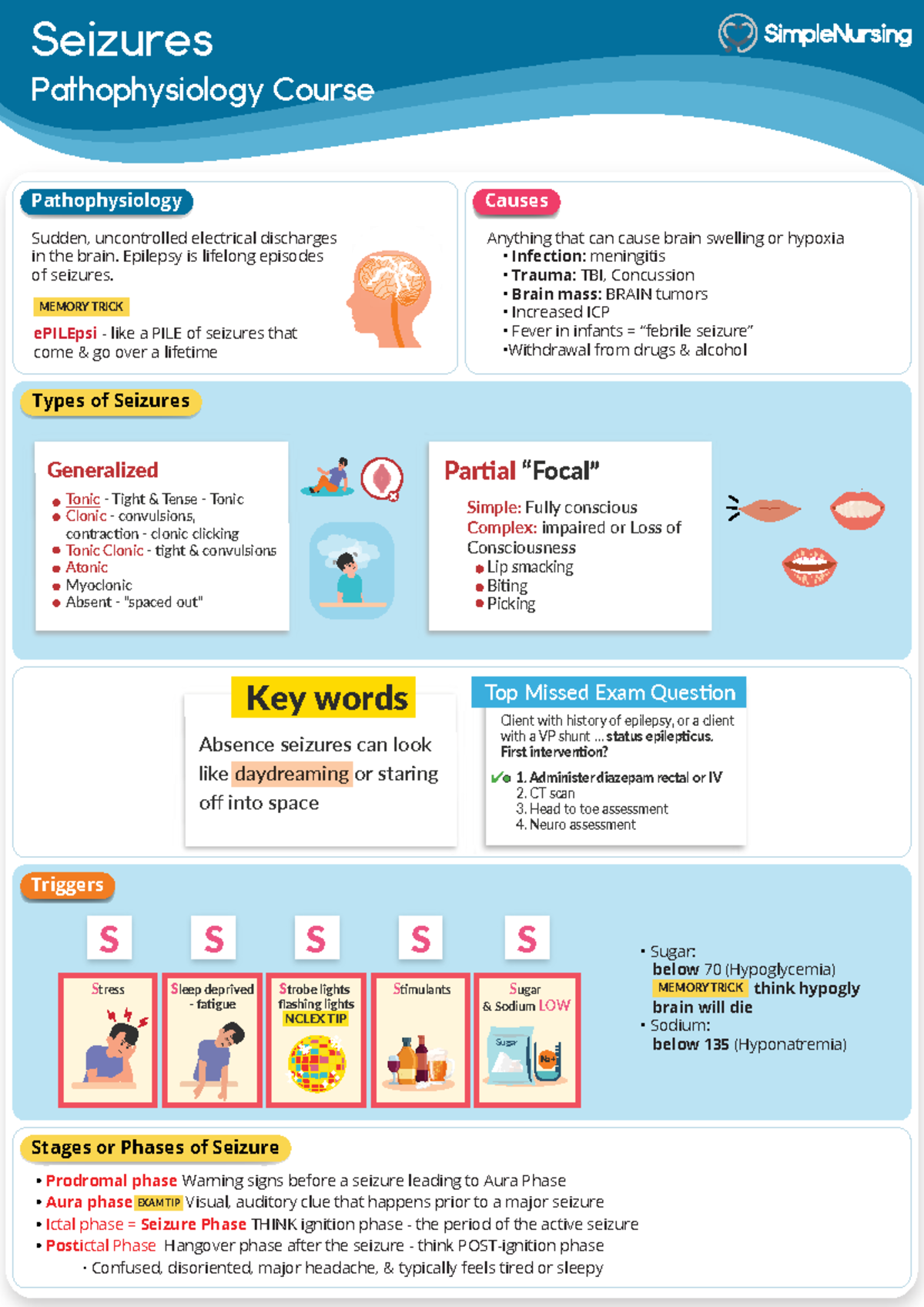 Simple Nursing 1. Seizures - Patho, ccauses, Types & Triggers ...