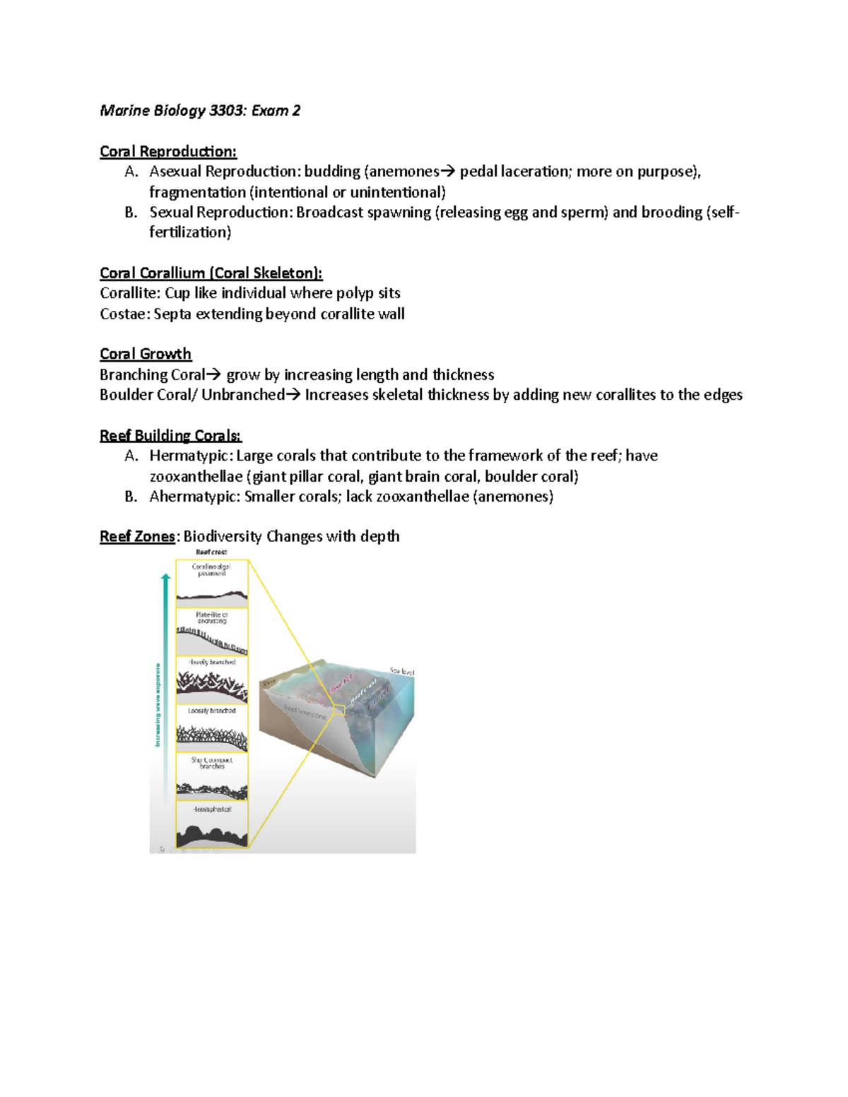 Marine Biology 3303 - Complete study guide of topics and content for ...